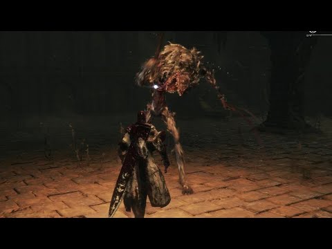 Bloodborne Bob battles Loran Silverbeast - YouTube