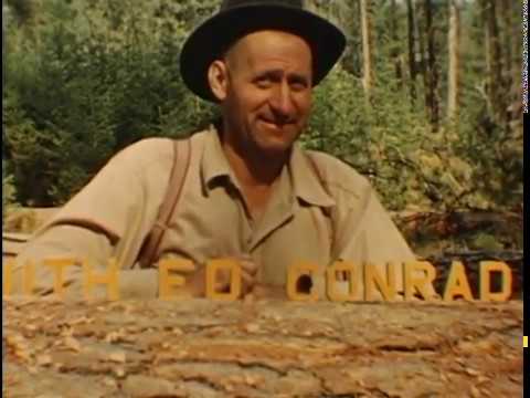 Logging Movie - Marion Area - YouTube
