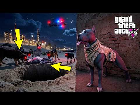 PİTBULL TERMİNATÖR ROTTWEILER MAHMUT'UN GERÇEK YÜZÜNÜ GÖRÜYOR! - GTA 5