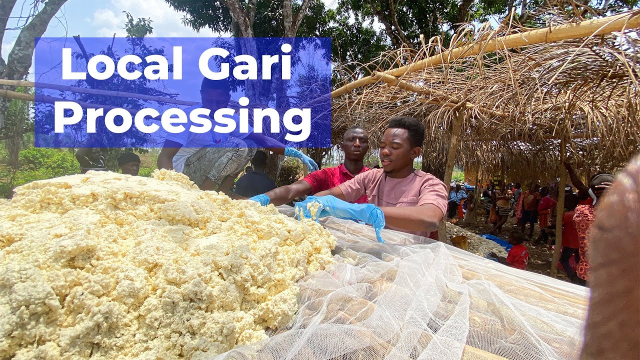 Local Gari Processing in Kambia District - YouTube