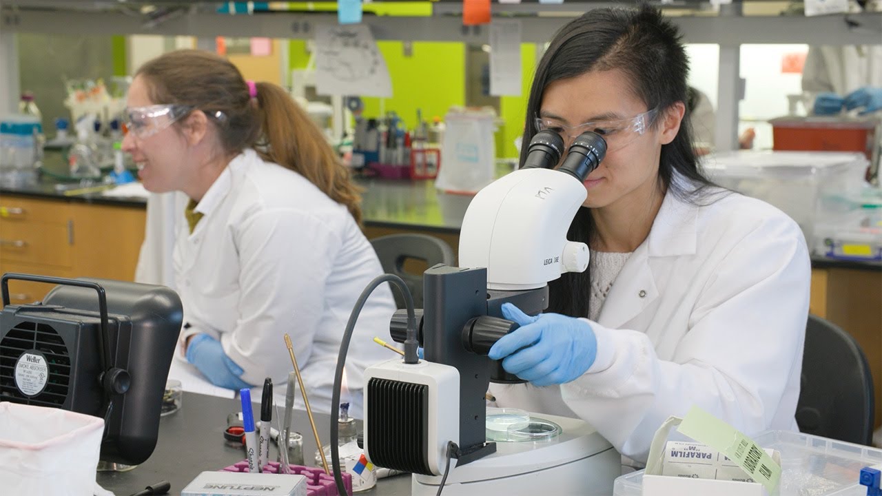 Why ChBE at GT? - YouTube