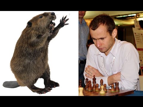ШОК! ДИКИЙ БОБЁР ЗАГРЫЗАЕТ СЕРГЕЯ ЖИГАЛКО! В ВИДЕО ПРИСУТСТВУЕТ МАТ ...