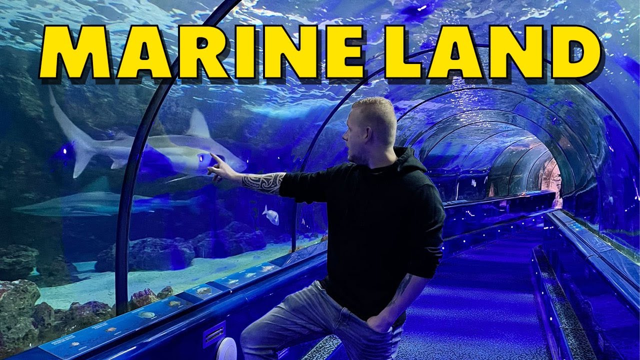Marineland | France - YouTube
