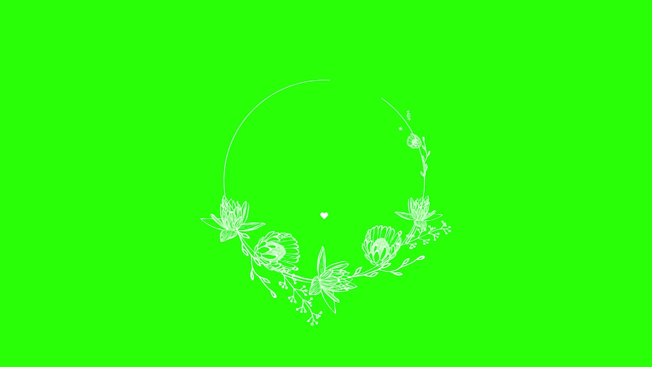 Circle Flower Ring Scale Up│Motion Graphic Transitions│Green Screen ...