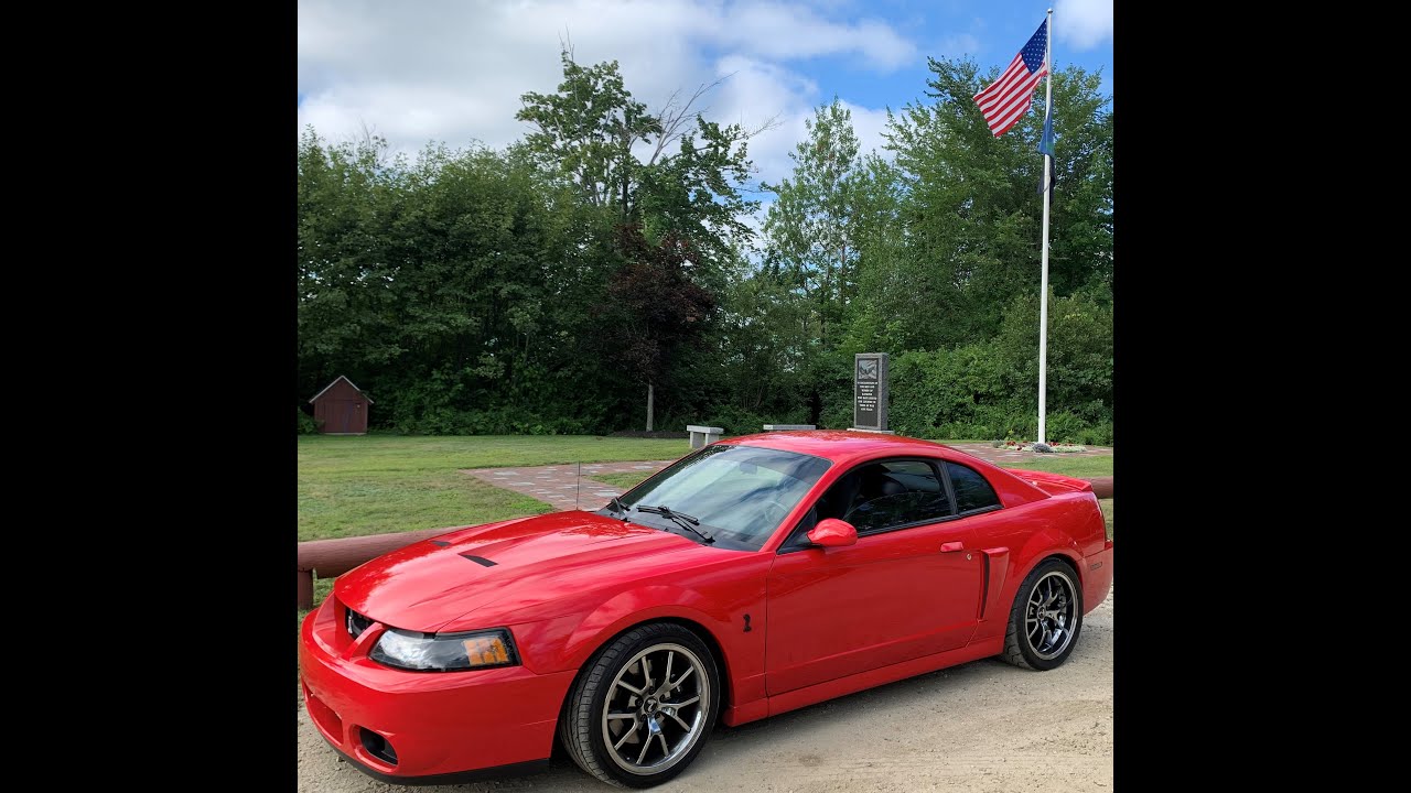 My 04 Terminator Cobra All Current Mods & Future Plans. - YouTube