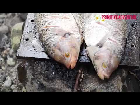 cewek hot cantik masak ikan di hutan/sungai