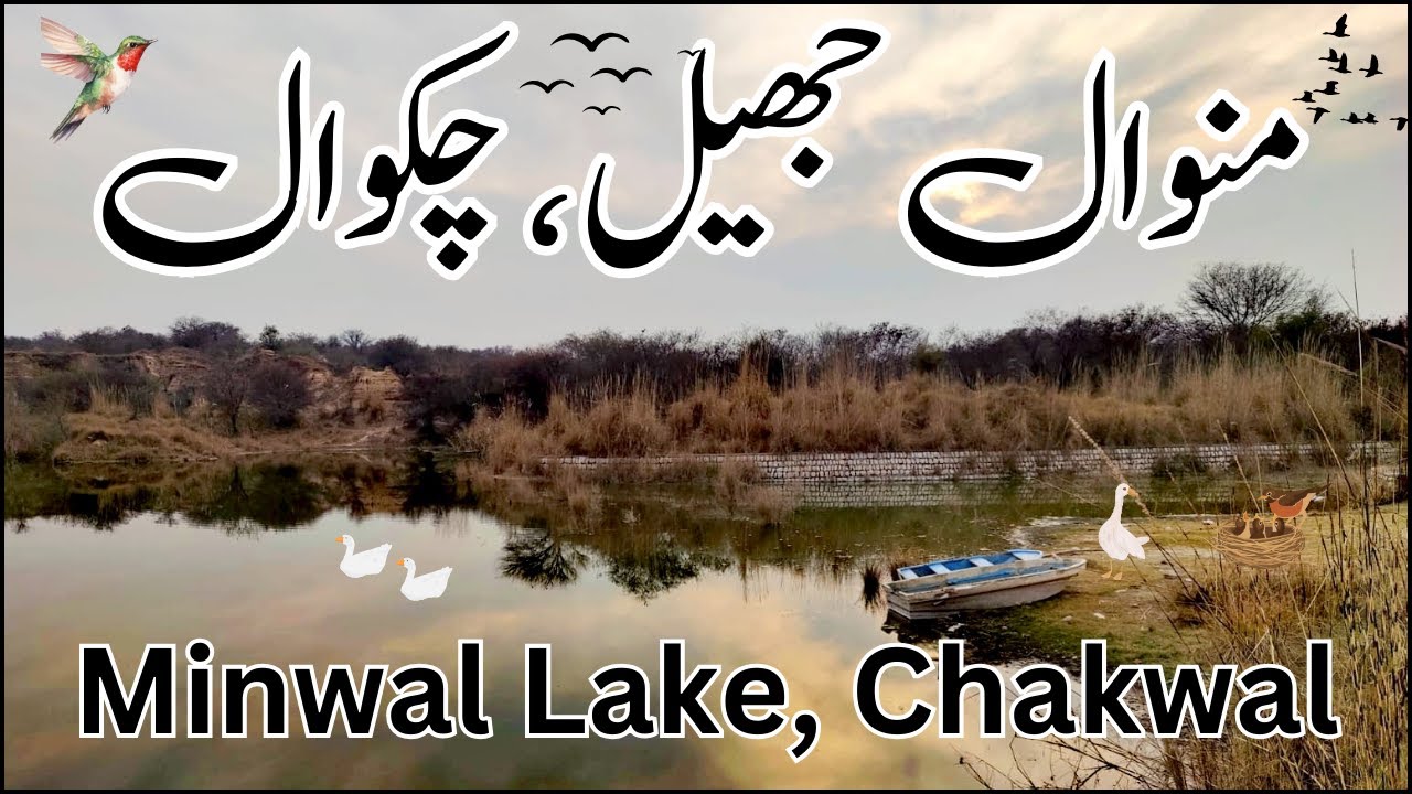 Minwal Lake Chakwal | Minwal Dam Chakwal | One day picnic sites near ...