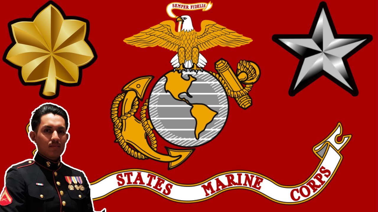 Los rangos de la Marina de EEUU - Rangos Militares de OFICIALES |U.S ...