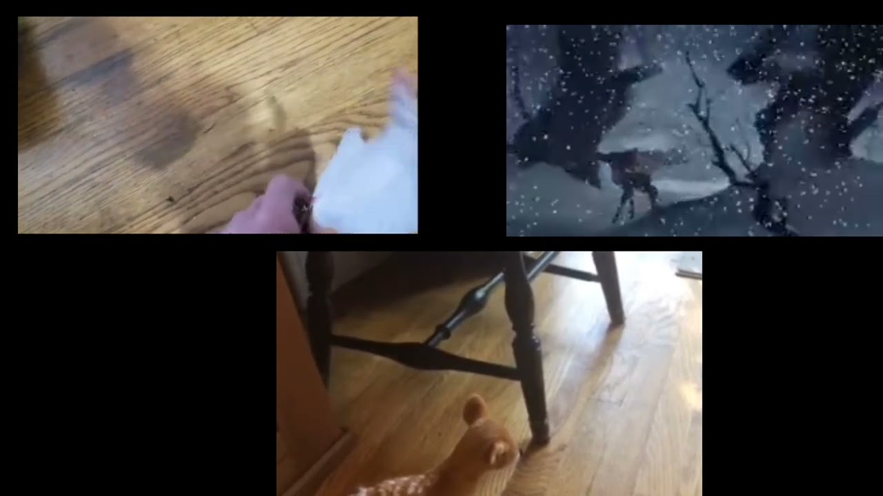 Bambi's mothers death, Bambi Mom Dies :(, and bambi's mother death (my ...