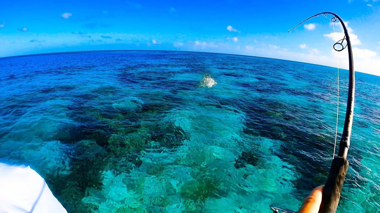 INCREDIBLE Fishing, FAR out to Sea with NO LAND in Sight. - YouTube
