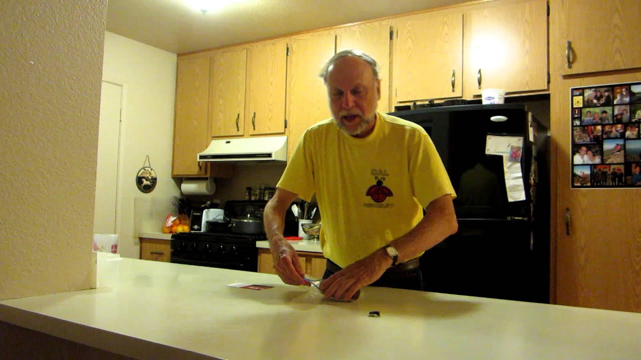 Steven Kutcher E-ZIP Bug Collector - YouTube