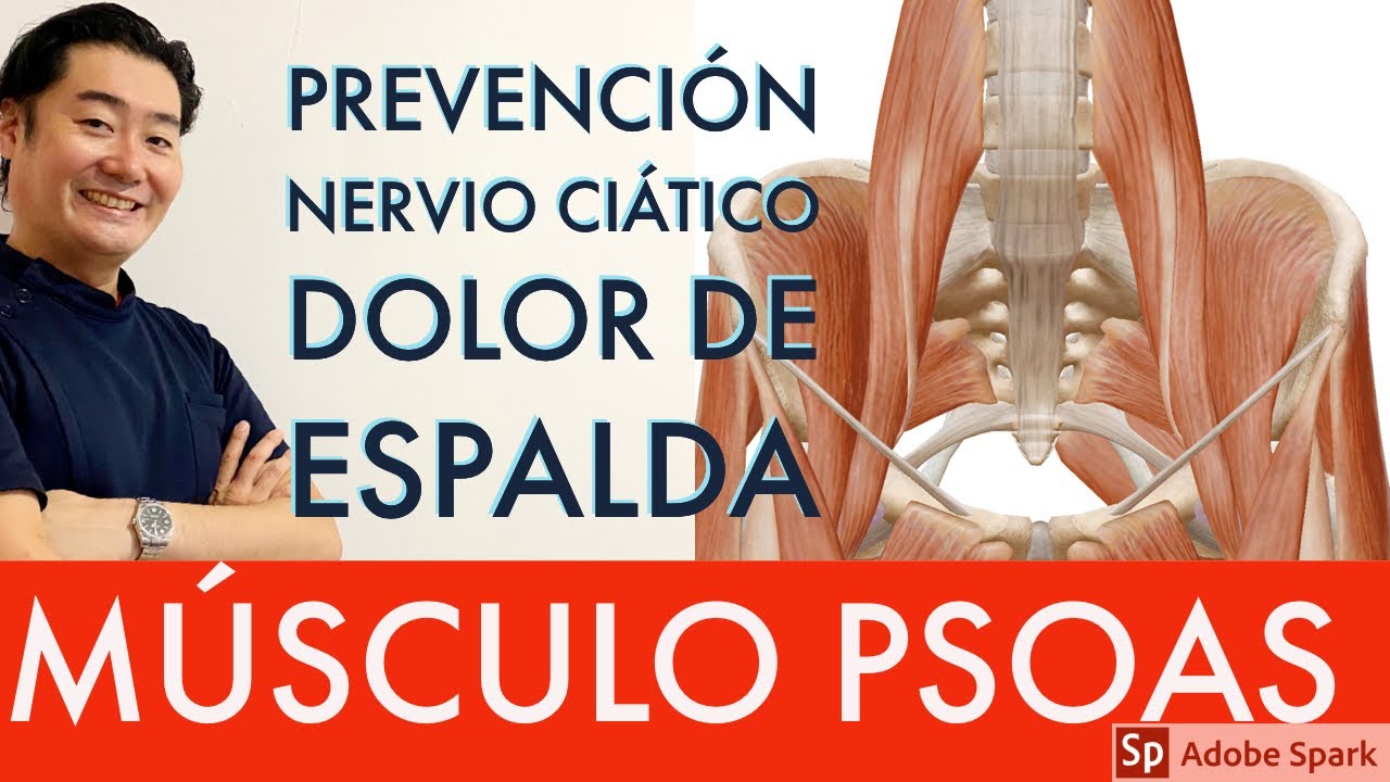 Fácil prevención del dolor de espalda. Estiramiento del psoas - YouTube