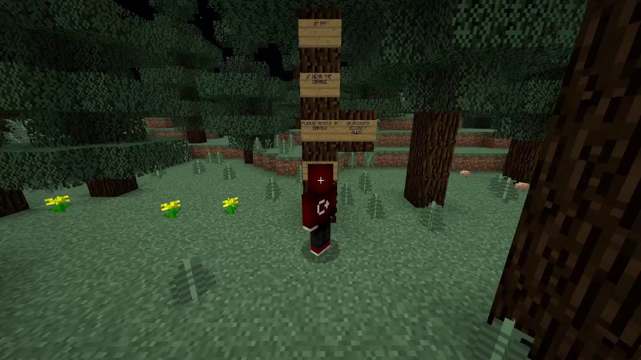 HYPIXEL ACCOUNT SECURITY ALERT BAN LIFTING - YouTube