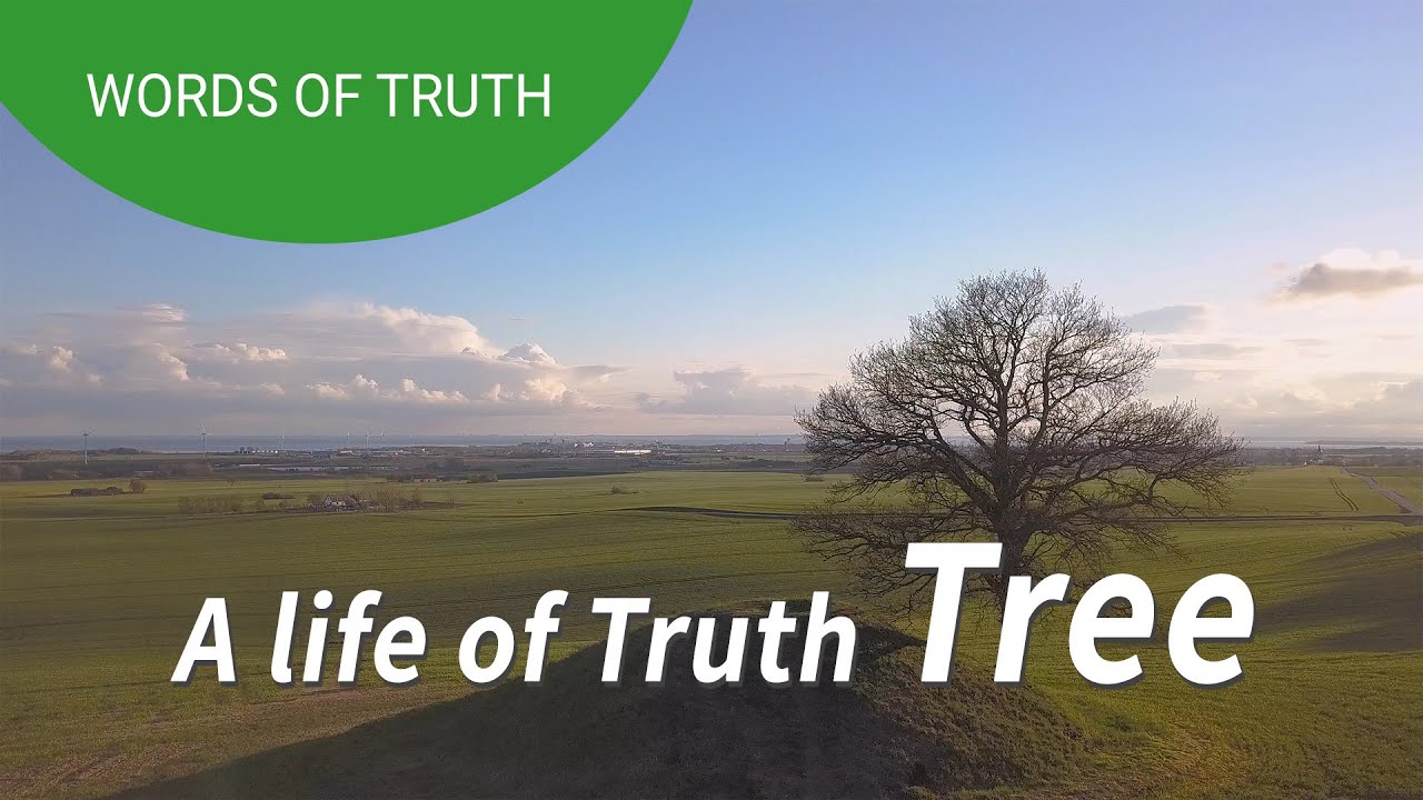 A Life Of Truth - Tree - YouTube