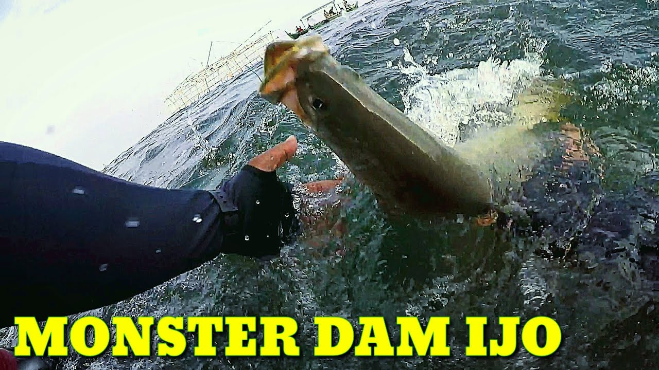 Monster-monster Dam Ijo - YouTube