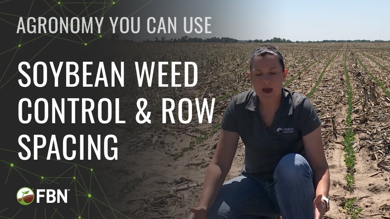 Herbicide Isn’t The Only Way: Soybean Weed Control & Row Spacing - YouTube
