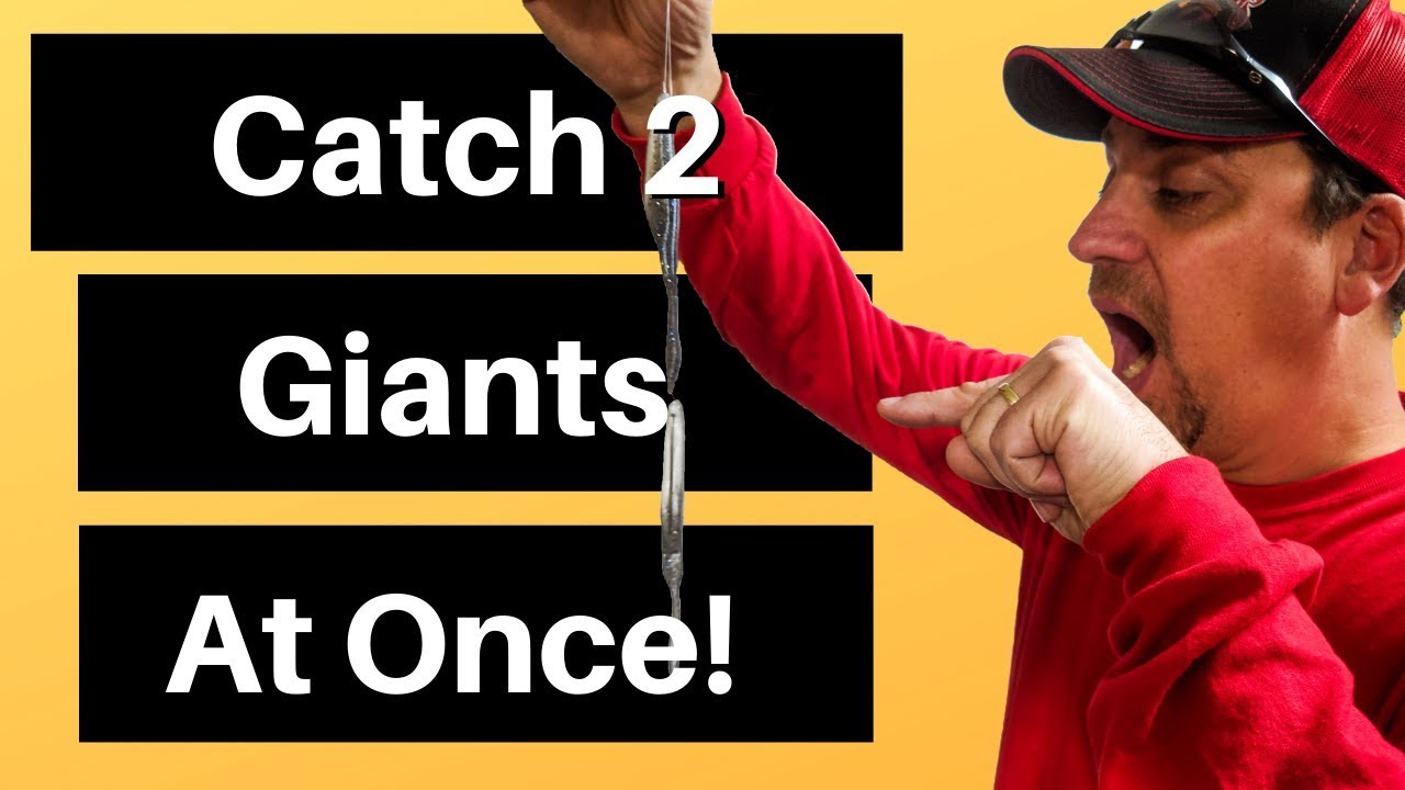 Catching Bass with the Donkey Rig | Donkey Rig Bass Fishing | The Best ...