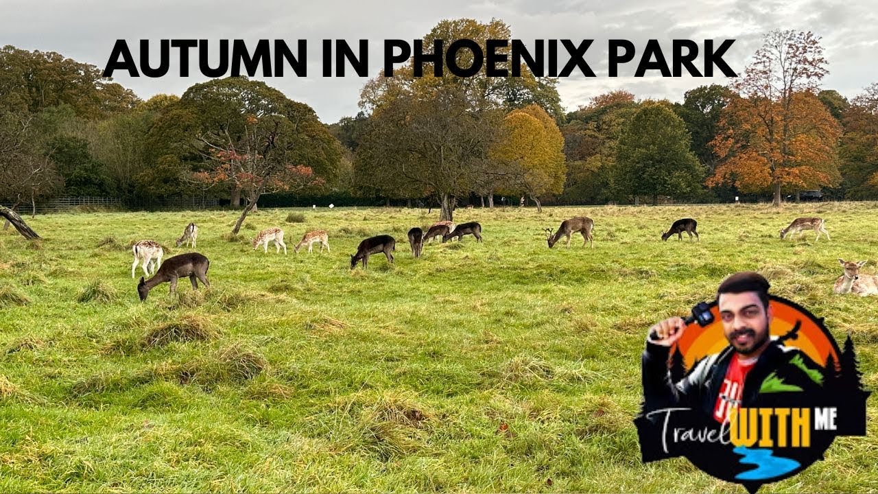 Autumn in Phoenix Park| Travel with Me - YouTube