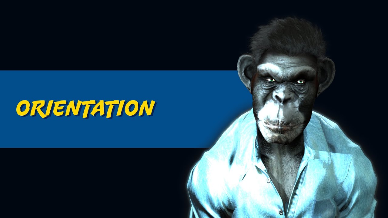 Infinite Monkeys - Orientation Film - YouTube