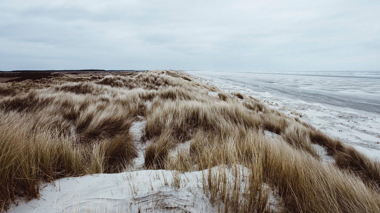 Windy Sand Dune Beach Ambience | Ocean, Storm, Grass, Wind, Waves ...