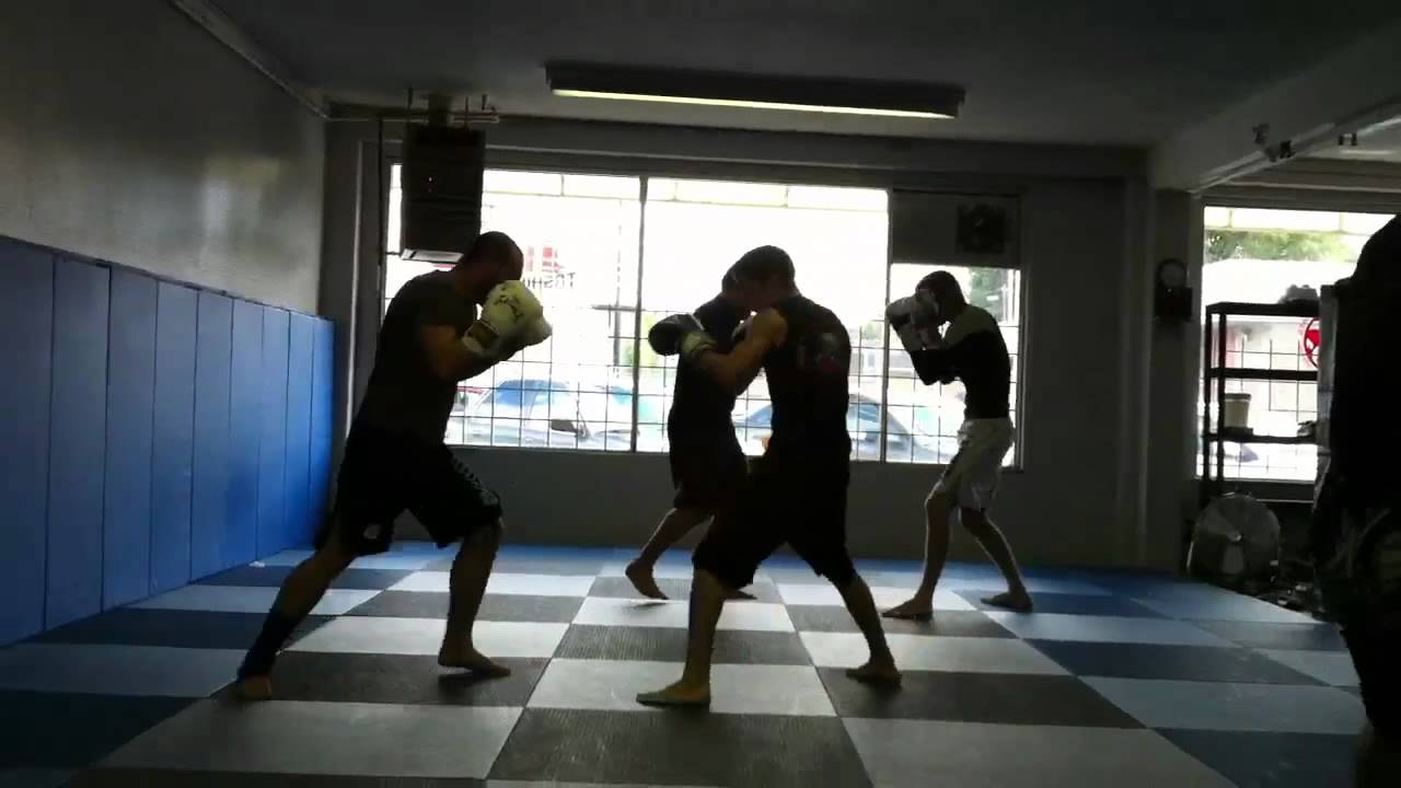 Madkatz boxing at toshido - YouTube
