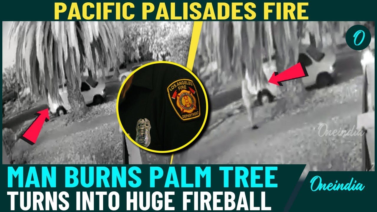 New LA CCTV Footage Reveals Palisades Fire Starter | Palm Tree Turns ...