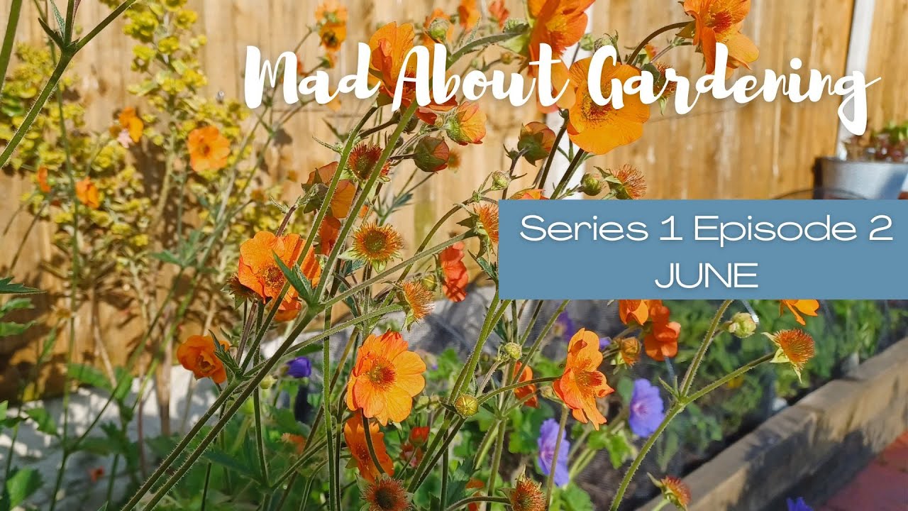 Mad About Gardening S01E02 June | Gardening Programme Show UK | Early ...