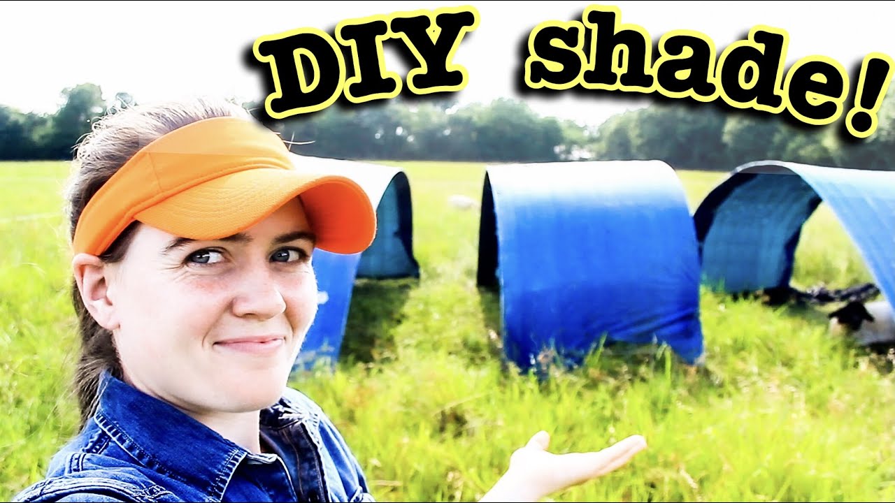 DIY TUTORIAL Portable Shade Structure for Sheep and Goats (Rotational ...