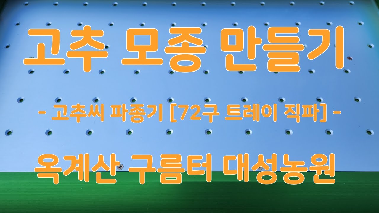 씨앗 파종기를 이용한 고추씨 직파972구 트레이 고추 모종 직파 고추 모종 만들기 고추 고추농사 고추가식 고추직파