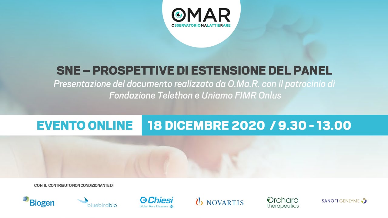 SNE - Prospettive di estensione del panel - YouTube