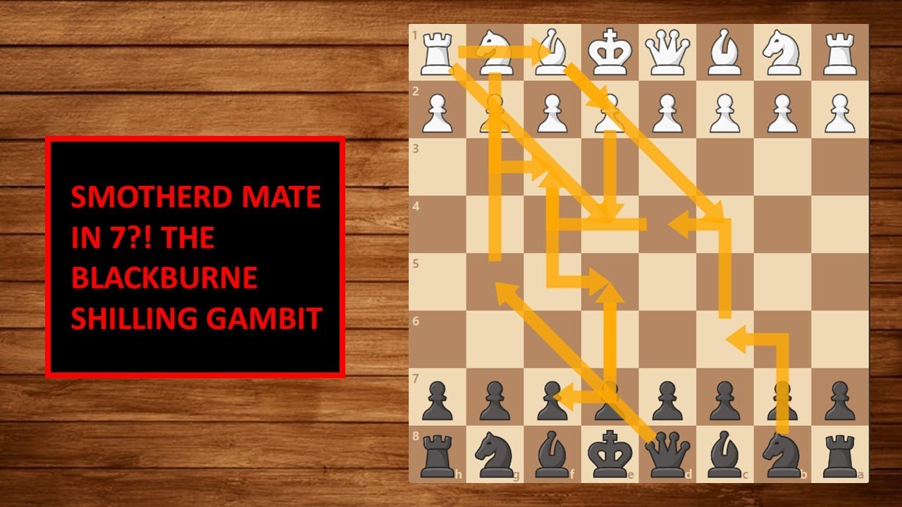 Blackburne shilling gambit| Beautiful smothered mate in 7 moves - YouTube