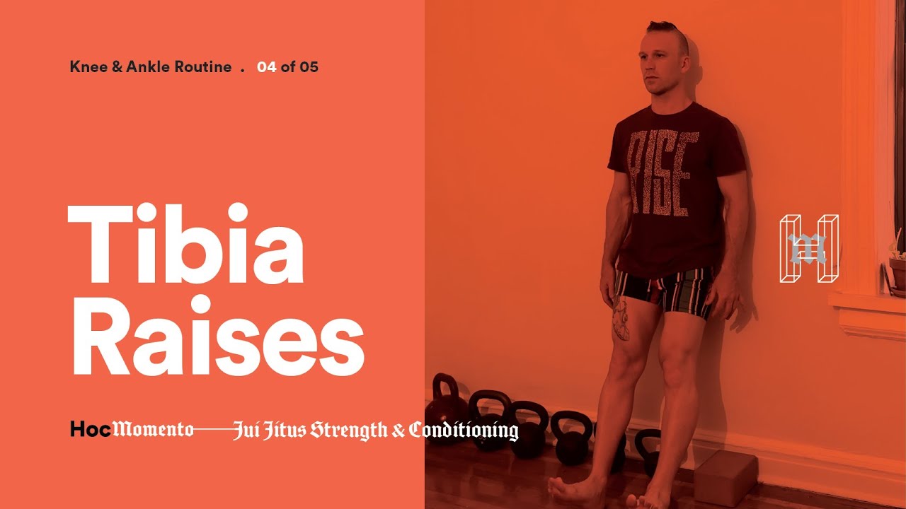 04 Tib Raises . Knee & Ankle Routine - YouTube