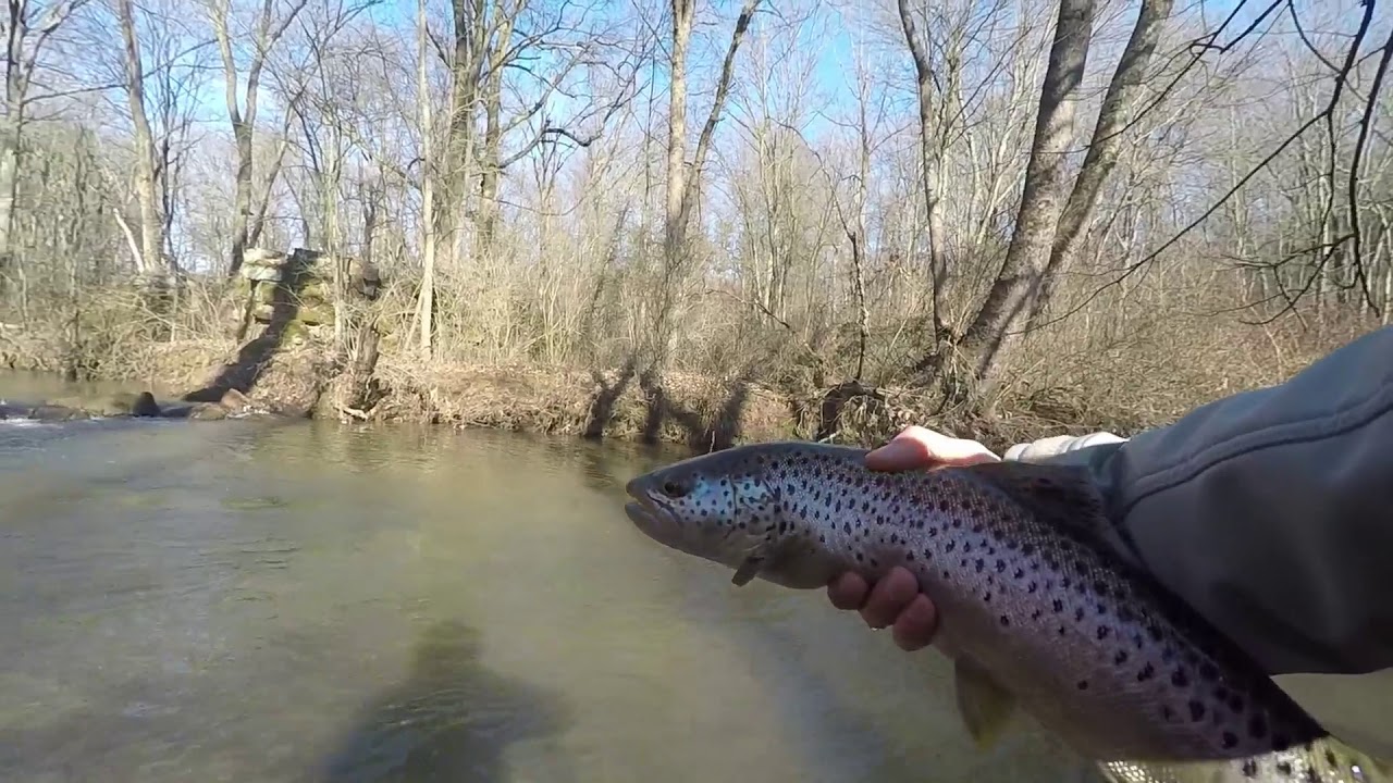 20 Inch Brown Trout - Winter Fishing - YouTube