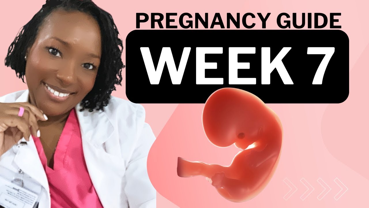 7 Weeks Pregnant: What To Expect - YouTube