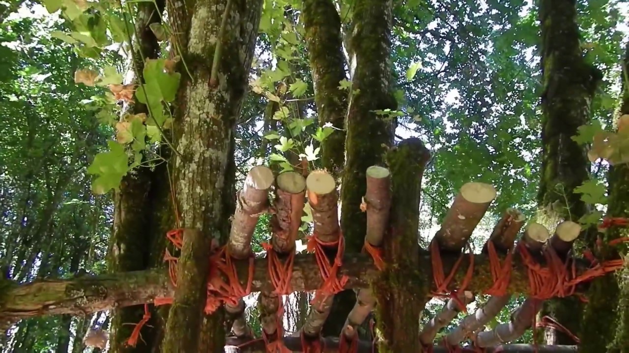 Building a Tree Fort out of Only Sticks and Bailing Twine - YouTube