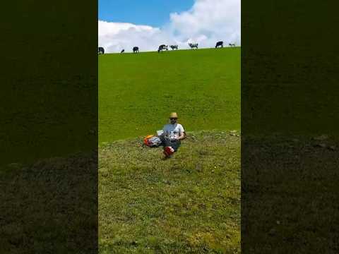 Burası Azerbaycanın, Zaqatala ilçesinde yerleşen Honzoqor yaylası😍 #trend #keşfet