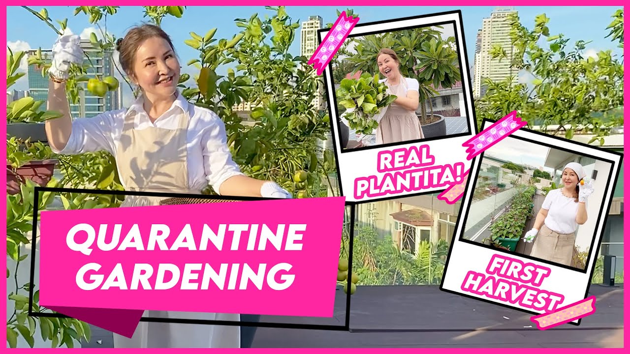 I TRY GARDENING FOR THE FIRST TIME! PART 1 | Small Laude - YouTube