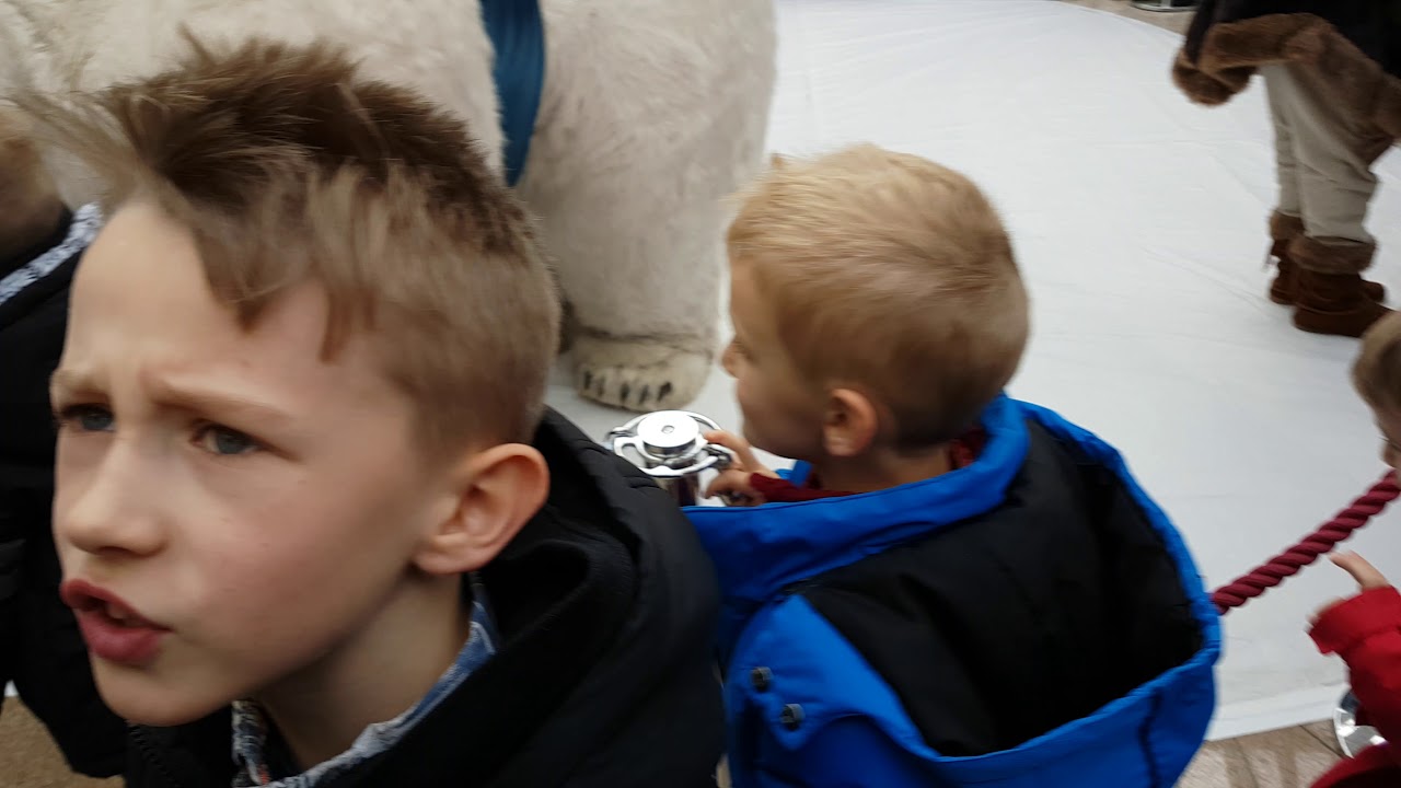 Misio polarny - YouTube
