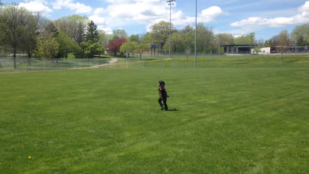 Faith playing at the park with dad Mikke Ripper - YouTube