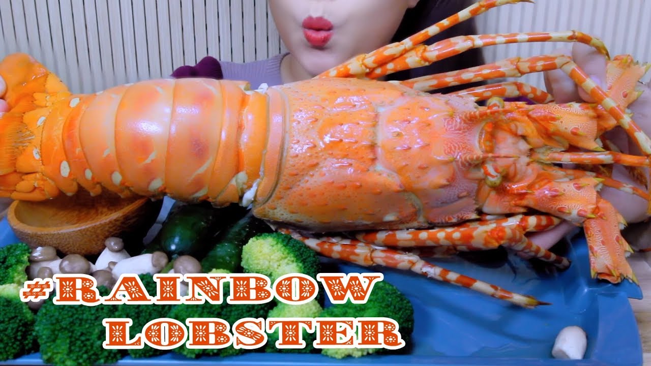ASMR HUGE Rainbow lobster, Satisfying EATING SOUNDS | LINH-ASMR - YouTube