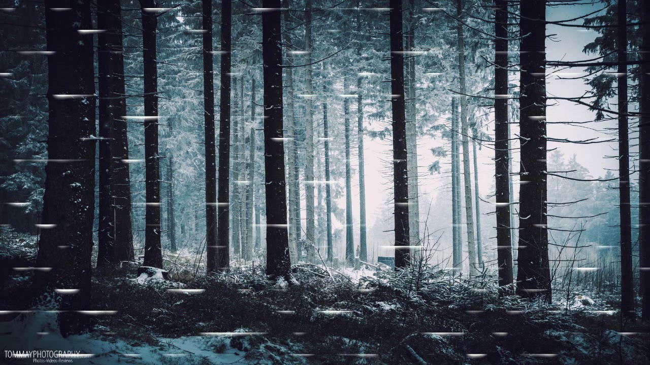 Wyrd - Sad song of the woods - YouTube