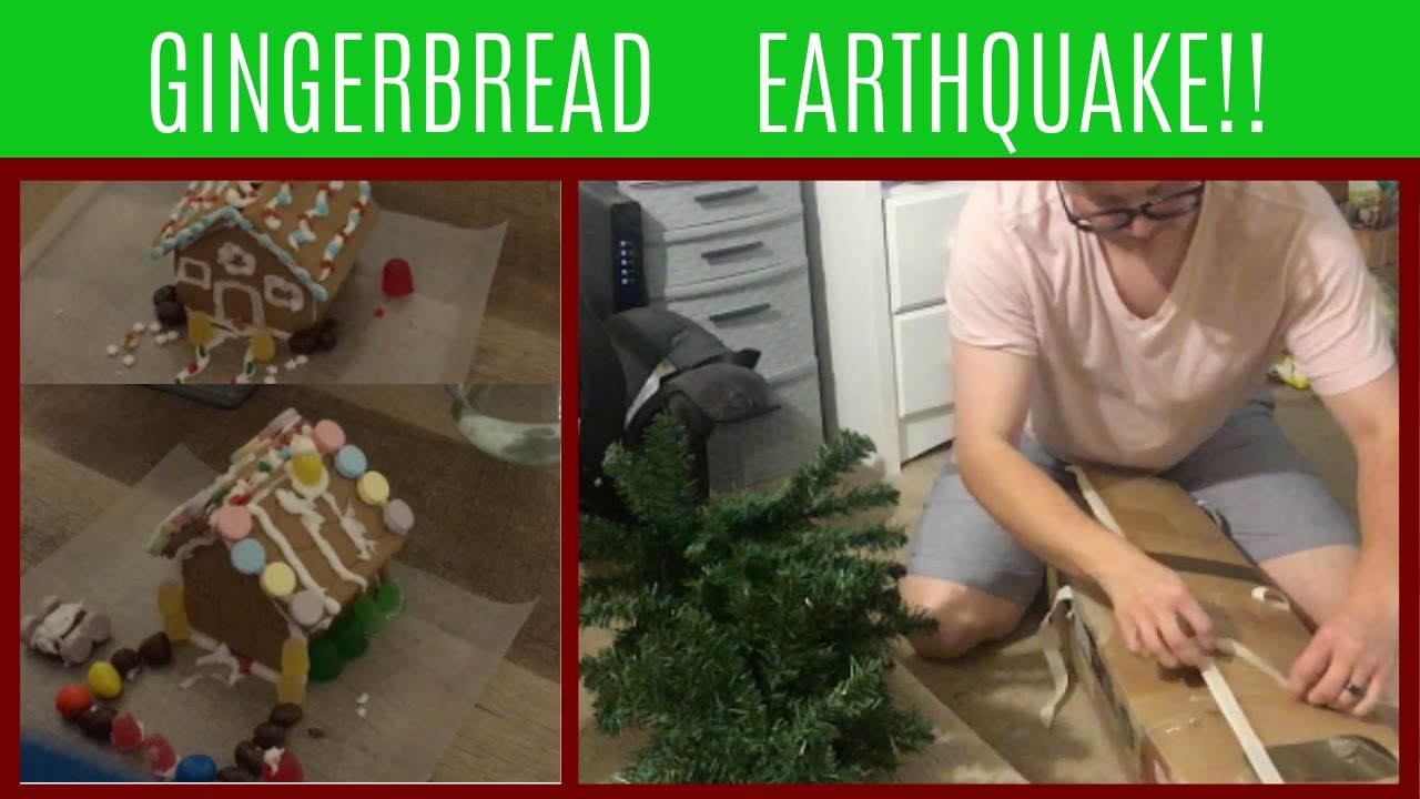 GINGERBREAD HOUSE EARTHQUAKE - DESTROYING CHRISTMAS // VLOG 91 - YouTube