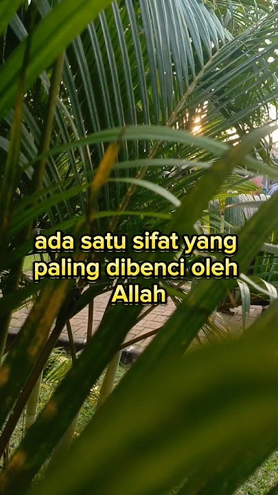 Sifat yang paling dibenci oleh Allah#shorts - YouTube