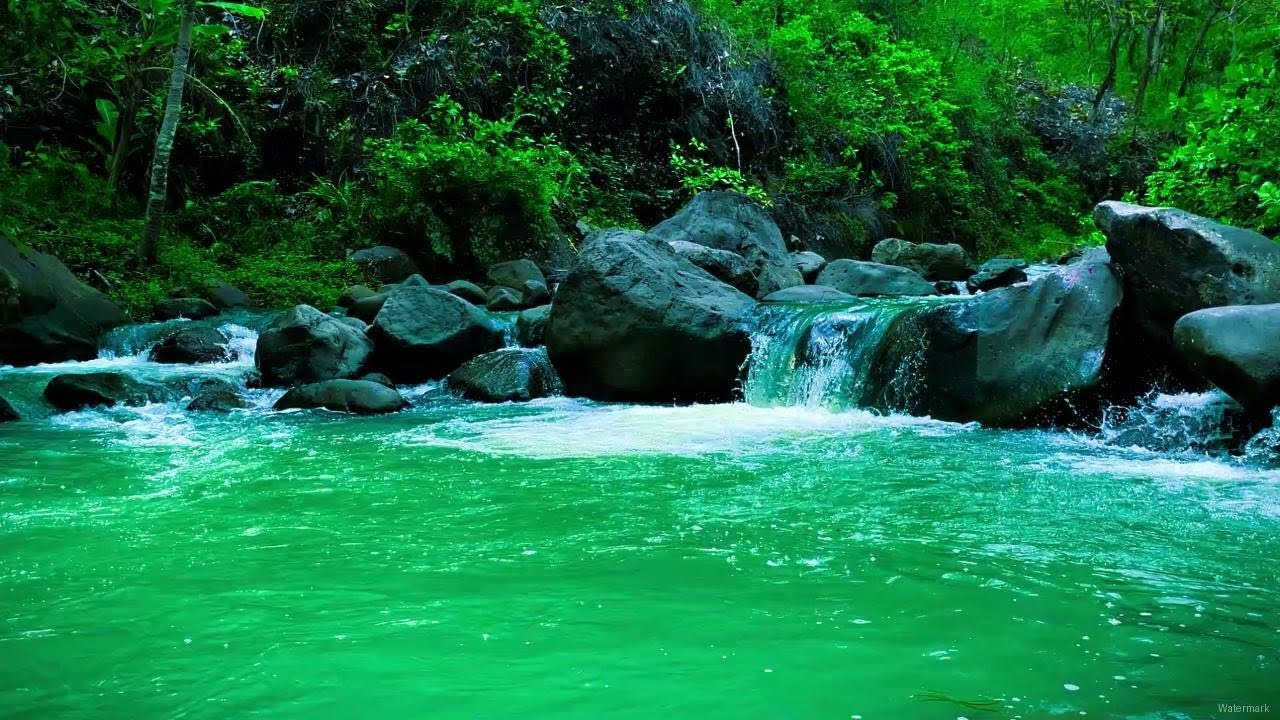 Refreshing Water Ambience & Stream Sounds for Sleep, Study, Meditation ...