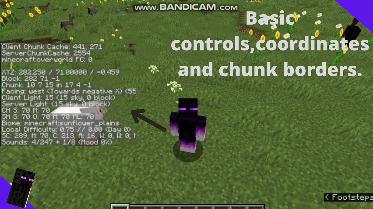 (Tutorial 2) Learning Basic Controls, Coordinates and Chunk Border In ...