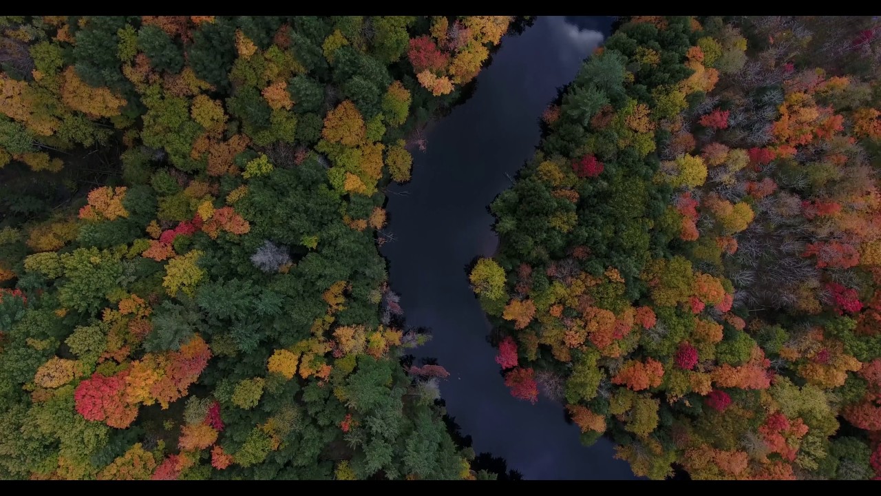 Drone Footage - Muskoka, Ontario - Oct 26 2016 in 4K!!! - YouTube
