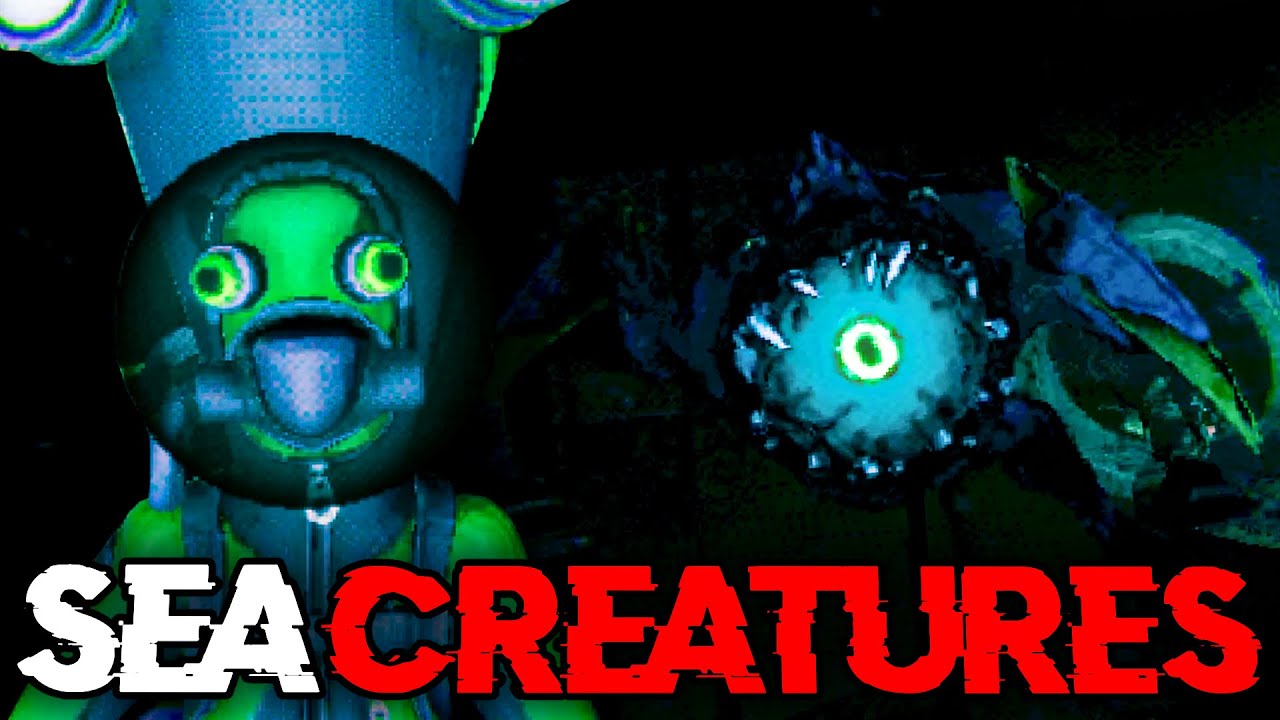 SEA CREATURES GOT ME GOING INSANE!!! | Murky Divers - YouTube