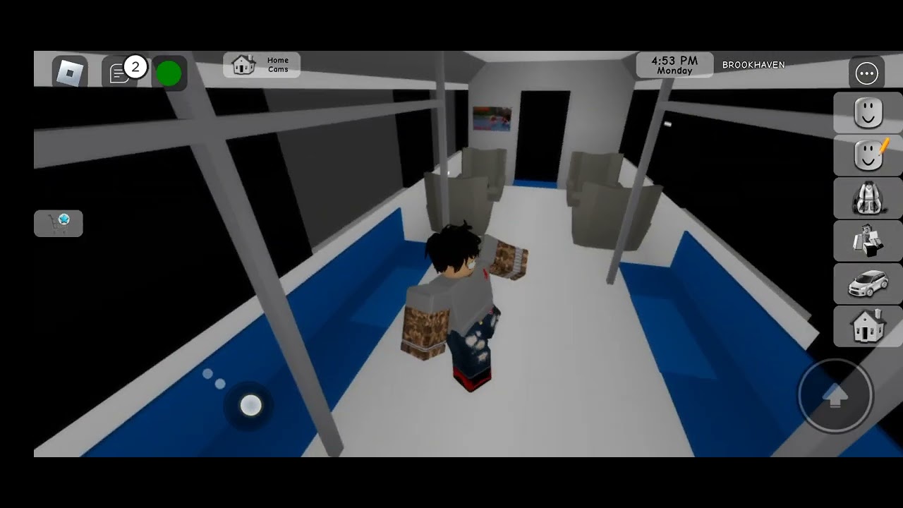 all secrets roblox brookhaven rp! - YouTube