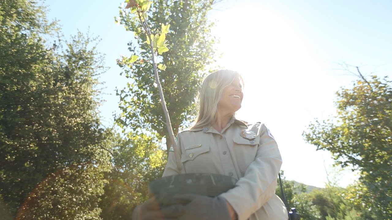 Planting a Tree with Ranger Heidi - YouTube
