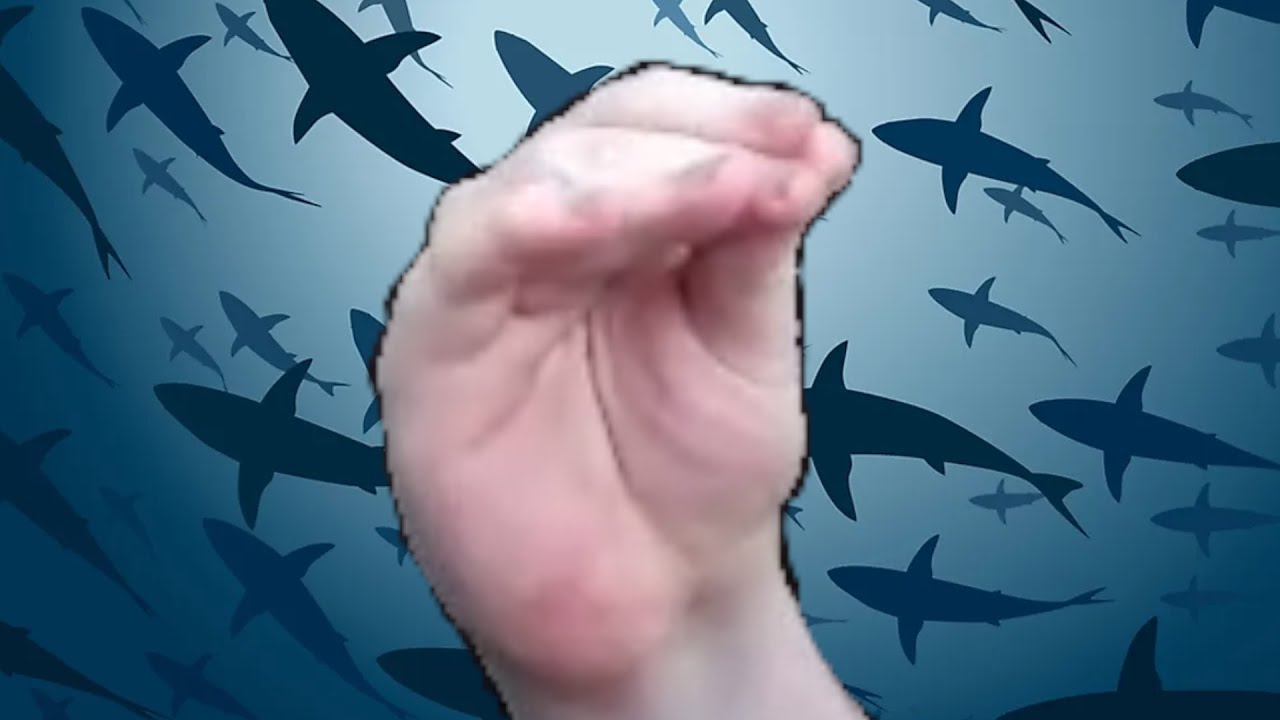 Handy Man gets thrown to the Sharks (Inscryption) - YouTube